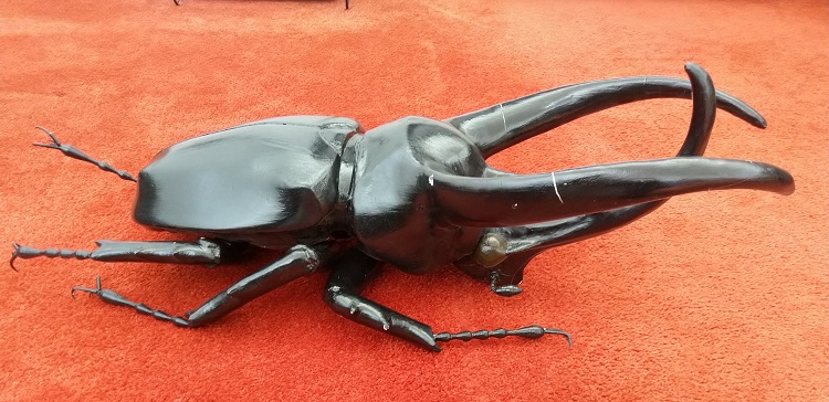 Kevermodellen – Kevers kweken