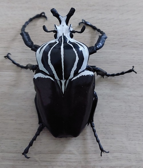 Kevermodellen – Kevers kweken